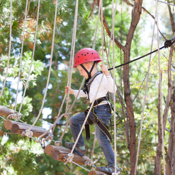 Summer Camps for Kids in Luxembourg 2023 – Luxflat Serviced Apartments